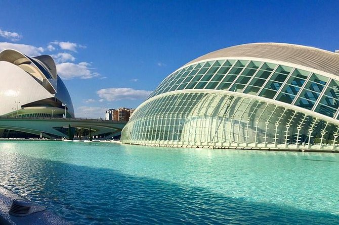 From Albir, Altea, Benidorm & Calpe: Valencia City Excursion - Customer Feedback