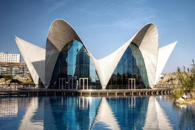 From Albir, Altea, Benidorm & Calpe: Valencia City Excursion - Visiting the Arts and Sciences Complex