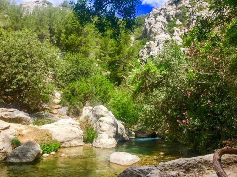 From Albir or Benidorm: Algar Waterfalls Day Trip - The Value Proposition