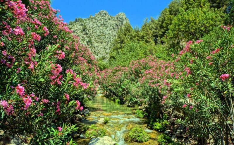 From Albir or Benidorm: Algar Waterfalls Day Trip - Who Will Love This Tour?