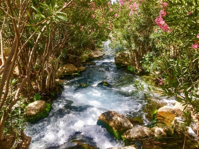 From Albir or Benidorm: Algar Waterfalls Day Trip - FAQs