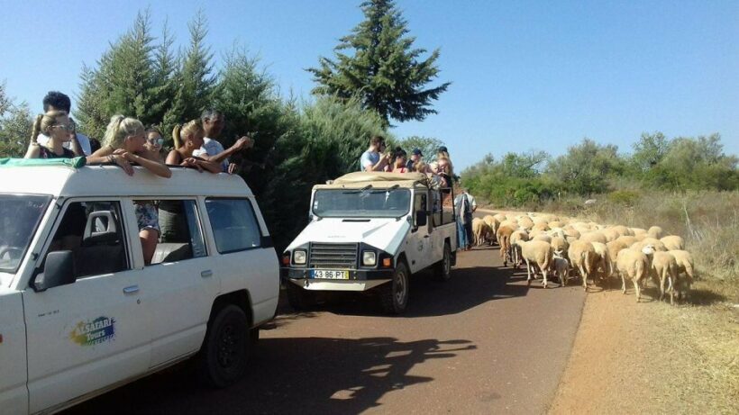From Albufeira: 4x4 Off-Road Safari & Vineyard Wine Tasting - Visiting a Local Vineyard – A Taste of Portugal