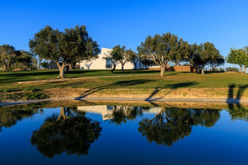 From Albufeira: 4x4 Off-Road Safari & Vineyard Wine Tasting - Final Thoughts: Who Is This Tour Best For?