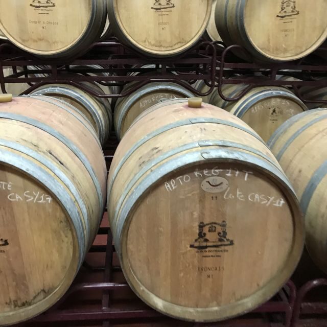 From Albufeira: Full-Day Wine Tasting Tour with a Guide - Key Points