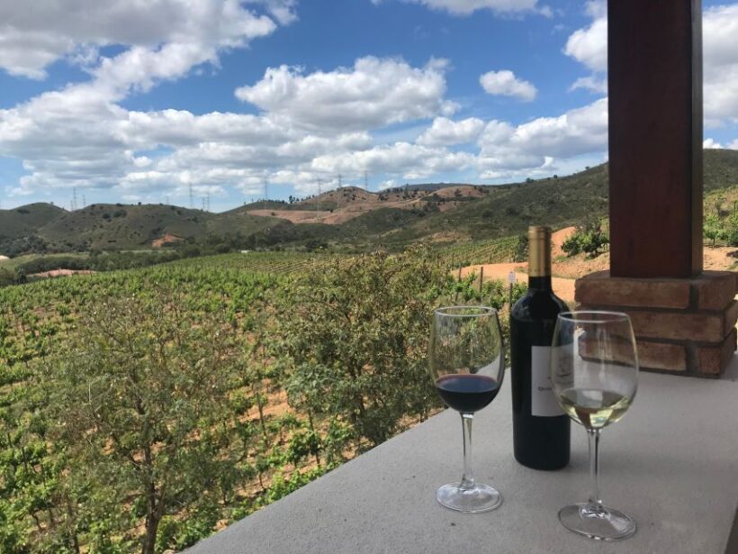 From Albufeira: Full-Day Wine Tasting Tour with a Guide - The Sum Up