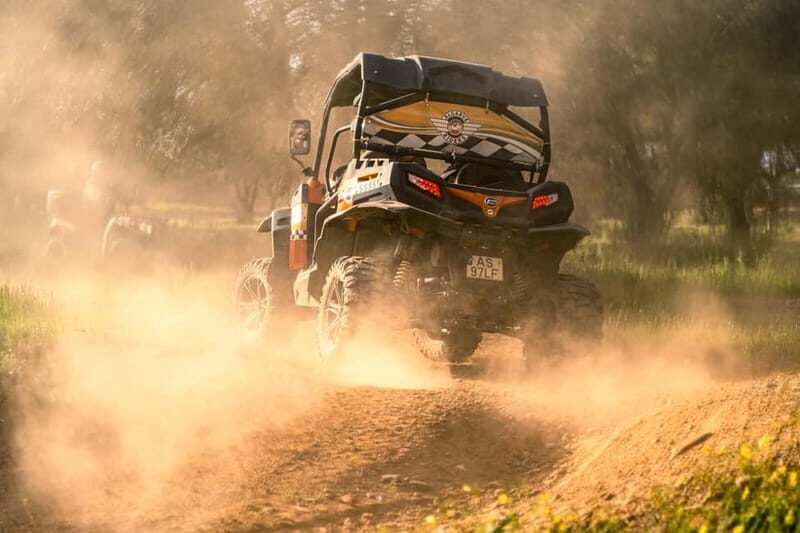 From Albufeira: Half-Day Buggy Adventure Tour - From Albufeira: Half-Day Buggy Adventure Tour—A Practical Review