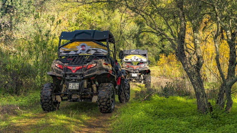 From Albufeira: Half-Day Buggy Adventure Tour - FAQ