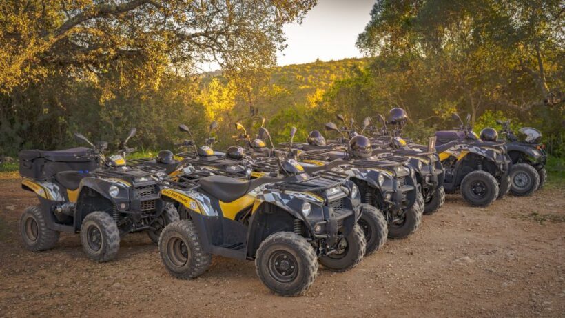 From Albufeira: Half-Day Off-Road Quad Tour - Who Will Love This Tour