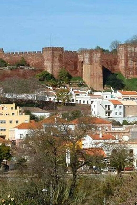 From Albufeira: Half-Day Silves & Monchique Highlights Tour - Moving on to Monchique and Fóia