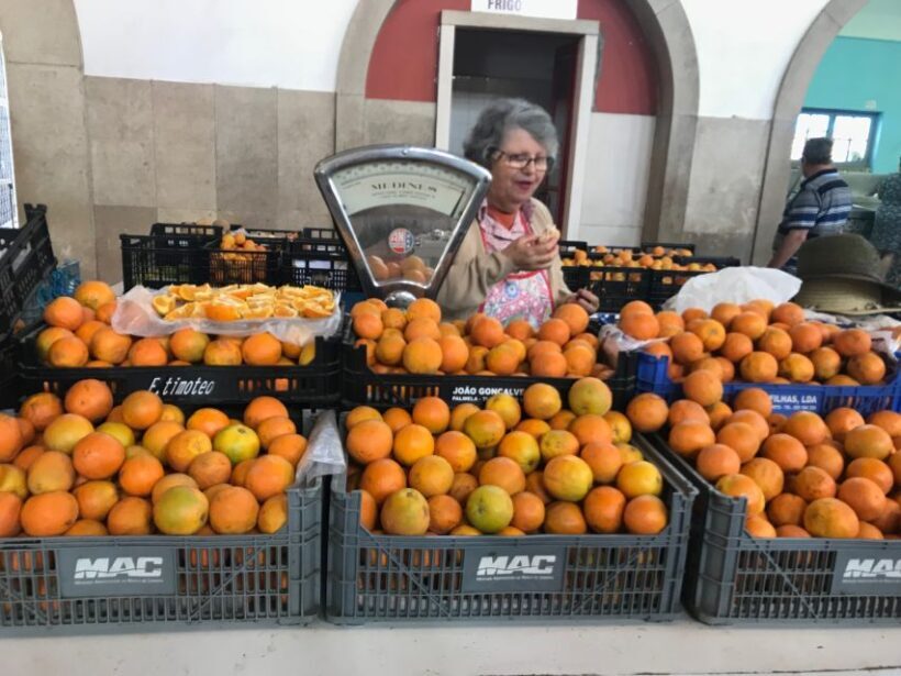 From Albufeira: Half-Day Winery Tour and Silves - The Value of the Tour