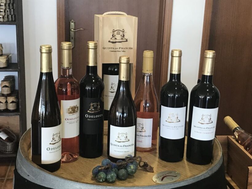 From Albufeira: Half-Day Winery Tour and Silves - Who Will Love This Tour?