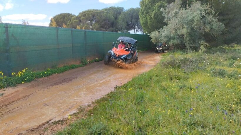 From Albufeira: Paderne Adventure Buggy Ride - Authentic Experiences and Traveler Tips