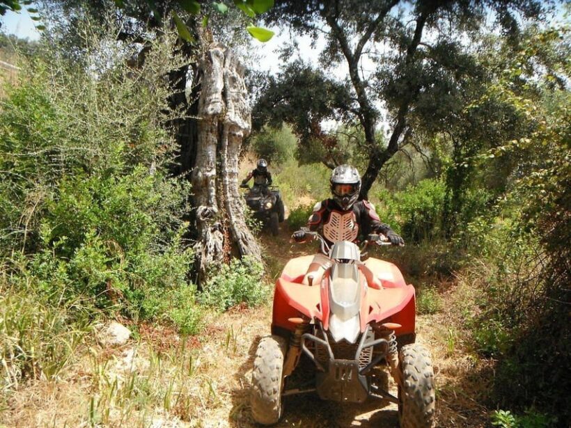 From Albufeira: Paderne Adventure Quad Ride - Who Will Love This Tour?