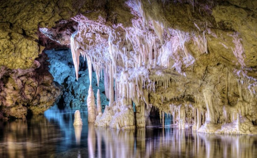 From Alcúdia: Dinosaurland and Hams' Caves Half-Day Trip - Final Thoughts: Who Will Love This Tour?