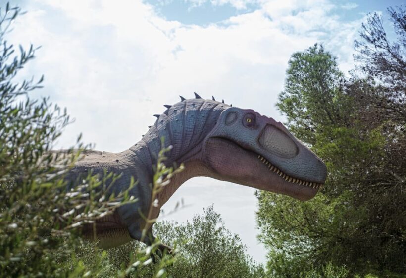 From Alcúdia: Dinosaurland and Hams' Caves Half-Day Trip - Frequently Asked Questions