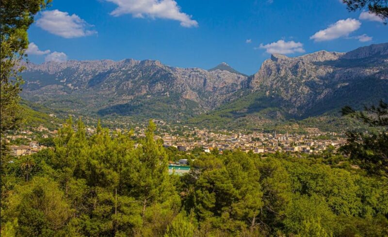 From Alcúdia: Soller Train and Tram Half Day Tour - Who Would Love This Tour?