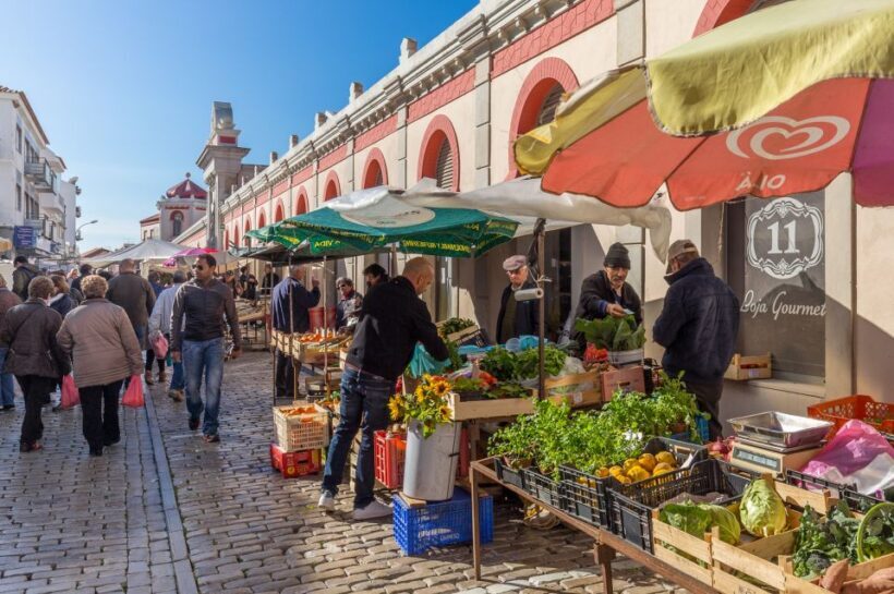 From Algarve Coast: Day Trip by Bus to Loule Market - Practicalities and Logistics