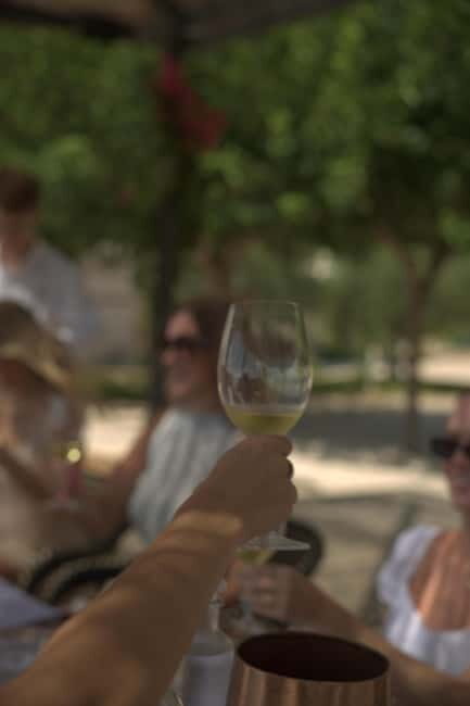 From Alicante: 2 Premium Wine Tastings and Tapas - A Practical Review of Alicante’s 2 Premium Wine Tastings and Tapas Tour