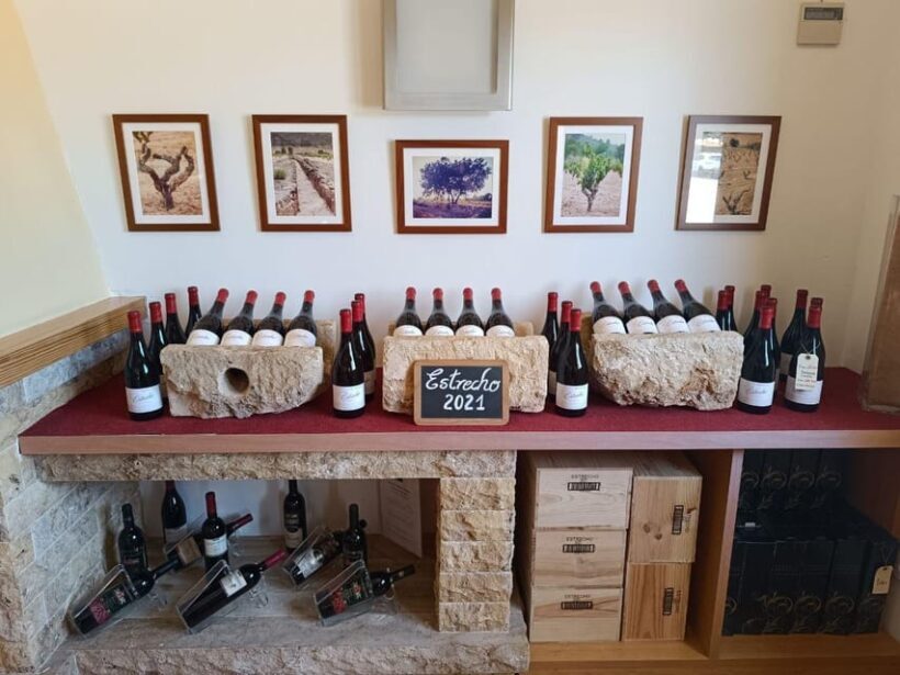 From Alicante ,Benidorm: Winery Tour and Wine Tasting - An Inside Look at the Winery Tour Experience