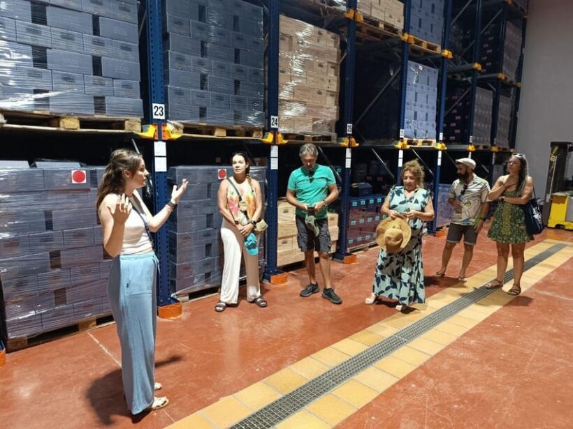 From Alicante ,Benidorm: Winery Tour and Wine Tasting - Transport and Group Size – Why They Matter