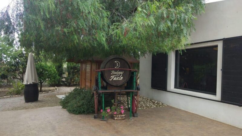 From Alicante: Best Winery Tour and Wine Tasting - The Vineyard Experience: Views and Insights