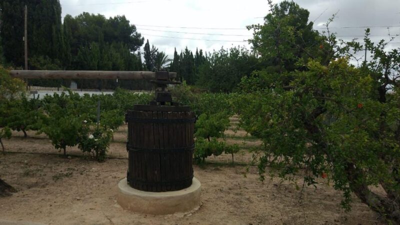 From Alicante: Best Winery Tour and Wine Tasting - Why This Tour Stands Out
