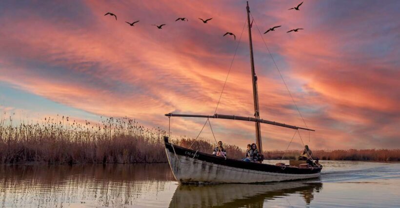 From Alicante: Cullera Old Town and Albufera Natural Park - What to Expect from the Tour