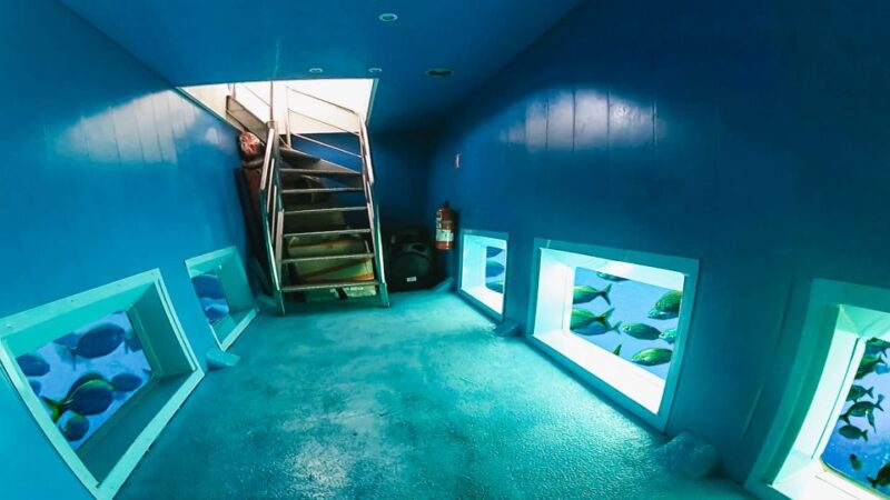 From Alicante: Roundtrip to Tabarca Island - Final Thoughts