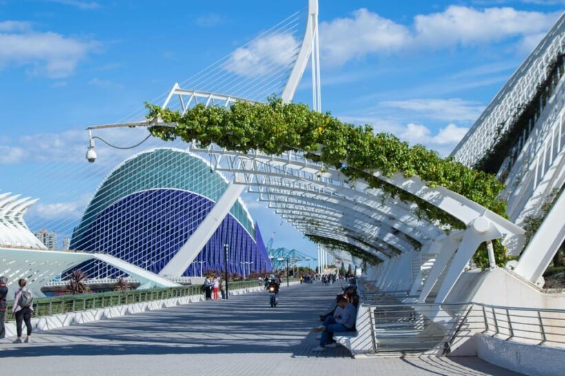From Alicante visit: Valencia center - Authenticity and Value