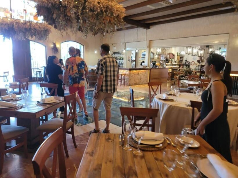 From Alicante: Winery Tour and Wine Tasting with Tapas - Introduction