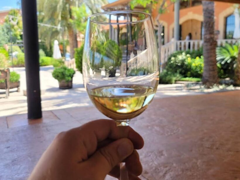 From Alicante: Winery Tour and Wine Tasting with Tapas - The Heart of the Tour: Wine Tasting and Tapas