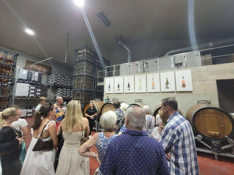 From Alicante: Winery Tour and Wine Tasting with Tapas - Authentic Experiences and Traveler Feedback