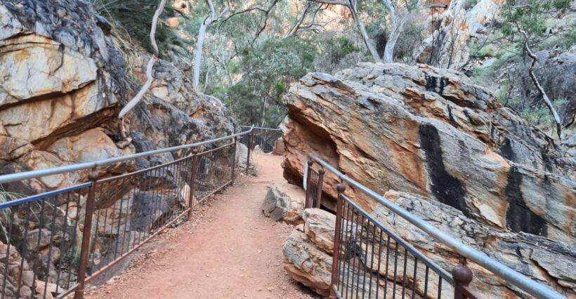 From Alice Spring: West MacDonnell Ranges Half-Day Tour - What’s Included and What to Consider