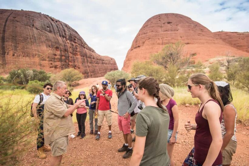 From Alice Springs: 4-Day Uluru & Kings Canyon Adventure - Analyzing the Value