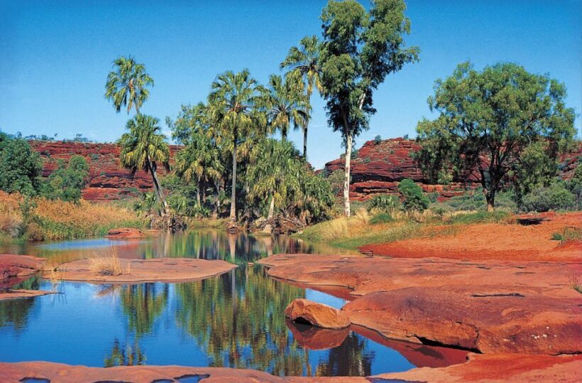 From Alice Springs: Palm Valley 4WD Outback Safari + Picnic - An In-Depth Look at the Tour Itself