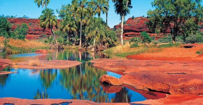 From Alice Springs: Palm Valley 4WD Outback Safari + Picnic - Authentic Experiences Highlighted by Travelers