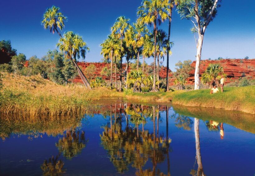 From Alice Springs: Palm Valley 4WD Outback Safari + Picnic - Who Will Love This Trip?