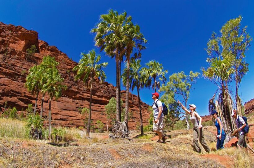From Alice Springs: Palm Valley 4WD Outback Safari + Picnic - Final Summary