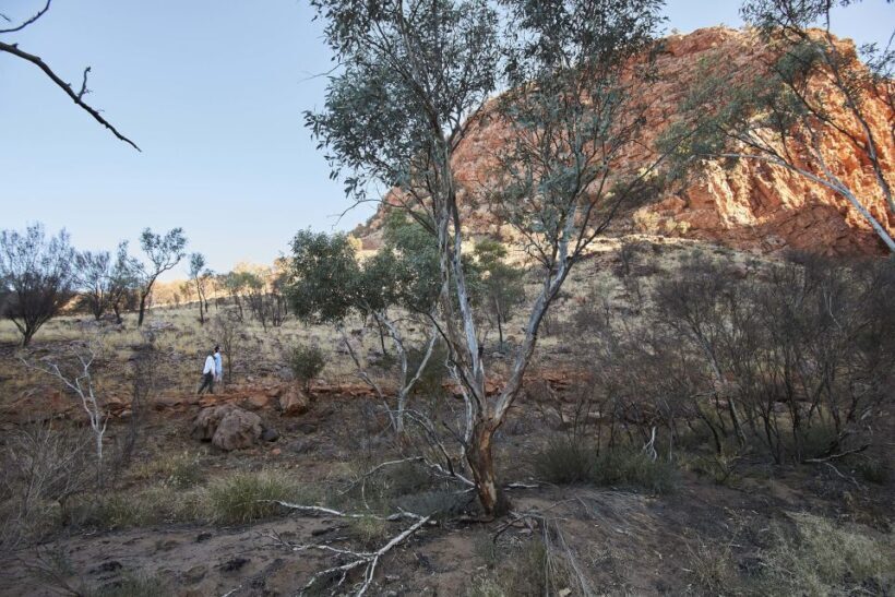 From Alice Springs: West MacDonnell Ranges Half Day Trip - FAQs
