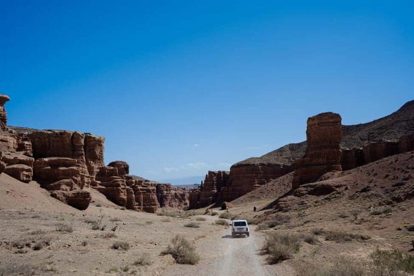 From Almaty: 7-Day Tour to Shymkent and Astana - The Sum Up