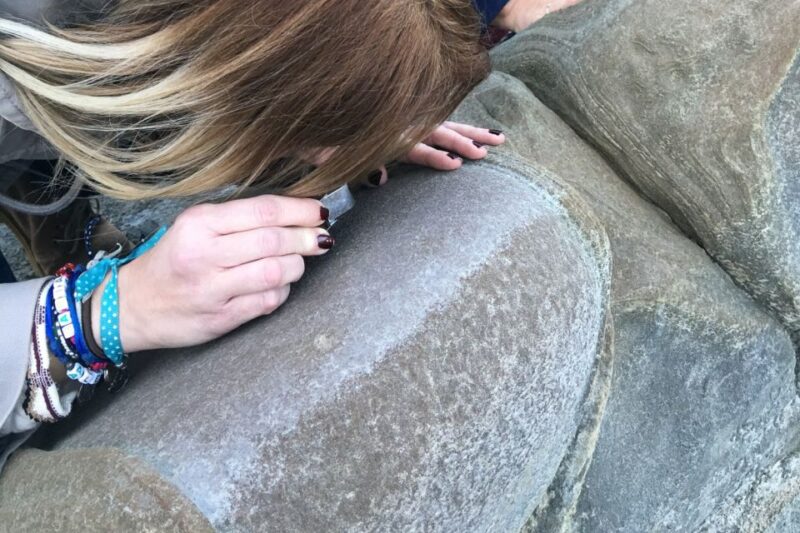 From Almeria: Tabernas Desert 4WD joyriding Tour - The Price and What You Get