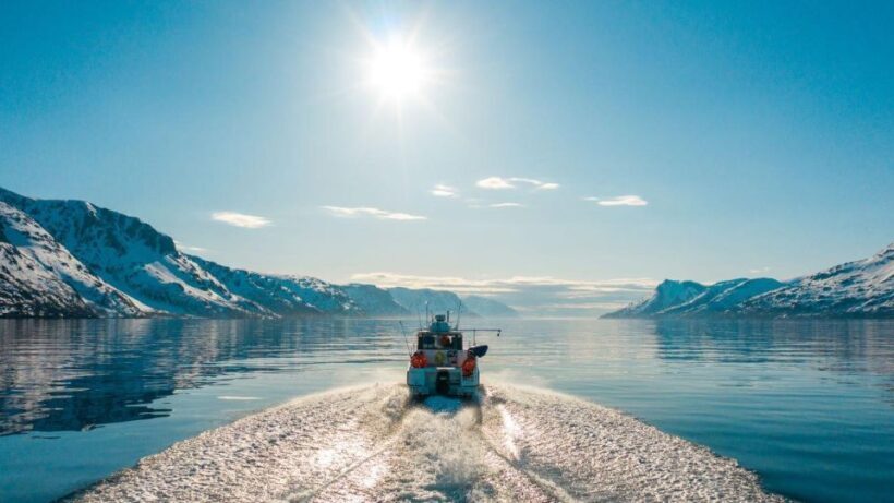 From Alta: Adventure Cruise in Alta Fjord - Key Points