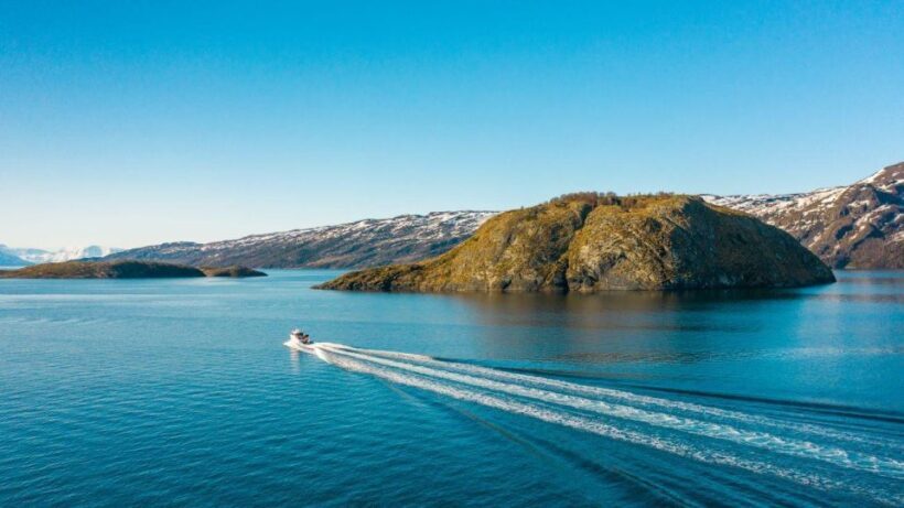 From Alta: Adventure Cruise in Alta Fjord - What You Get & What You Pay For
