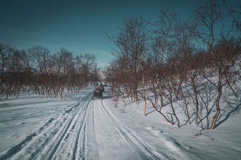 From Alta: Daytime Snowmobile Adventure - Who Will Love This Tour?