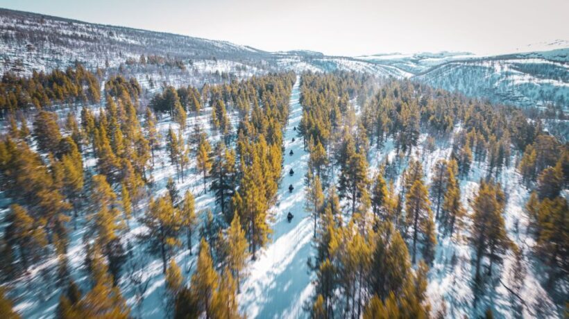 From Alta: Daytime Snowmobile Adventure - Who It’s Best For