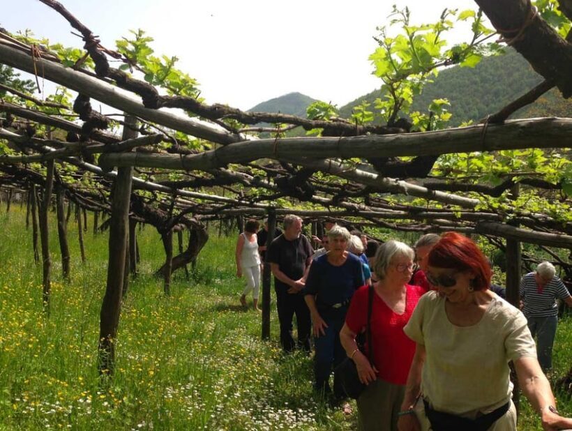From Amalfi: Amalfi Coast Tour and Wine Tasting with Lunch - Introducing the Amalfi Coast Tour and Wine Tasting with Lunch