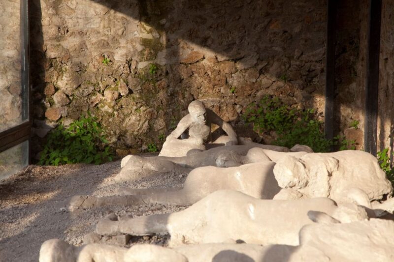 From Amalfi Coast: Pompeii Guided Tour - Pricing and Value