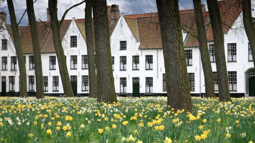 From Amsterdam: Bruges Guided Day Trip in English - FAQ