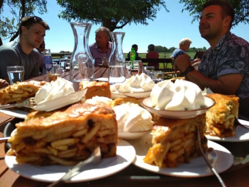 From Amsterdam: Countryside Bike Tour - Who Will Love This Tour?