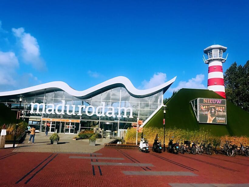 From Amsterdam: Day Tour to Rotterdam, Delft and The Hague - Practical Considerations and Value